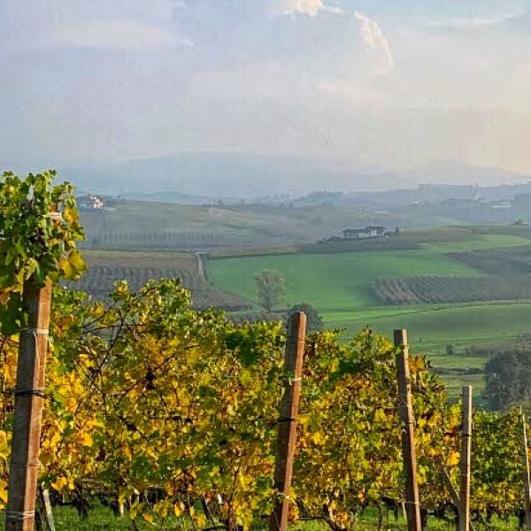 Old School Piedmont: 2014 Giuseppe Rinaldi Barolo Tre Tine – Crush Wine ...
