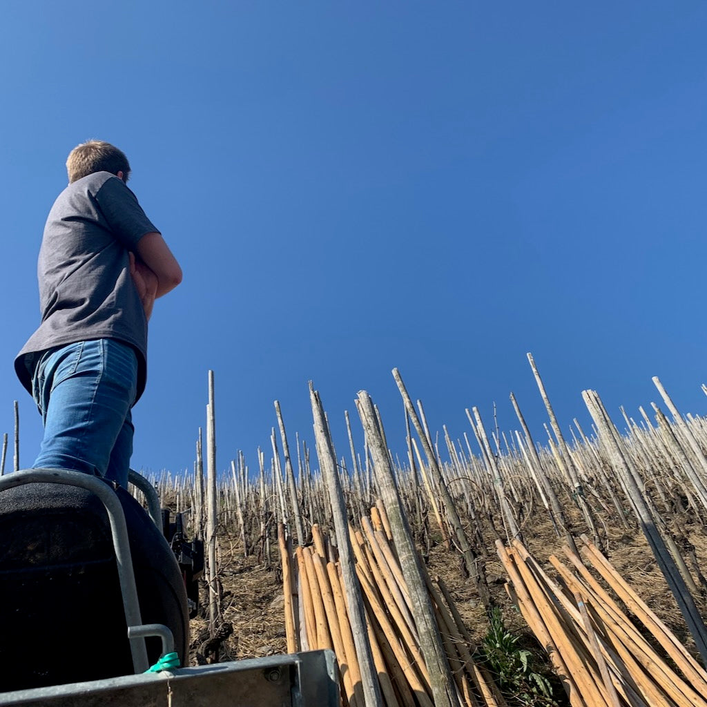 Vom Boden Ludes Master Class 6-Pack – Crush Wine & Spirits